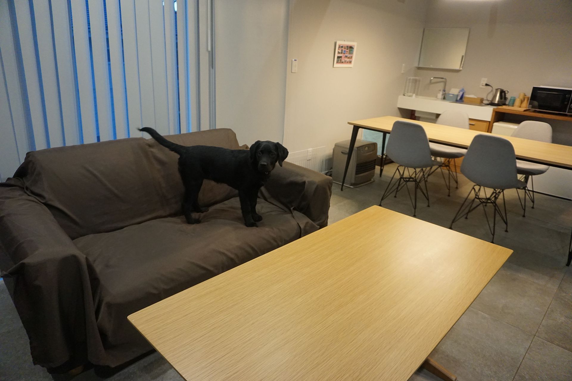 【公式】紡ぐ結ぶ TSUMUGU MUSUBU｜犬と泊まれる宿・大型犬大歓迎！蓼科・清里・小淵沢へ犬とお出かけ！