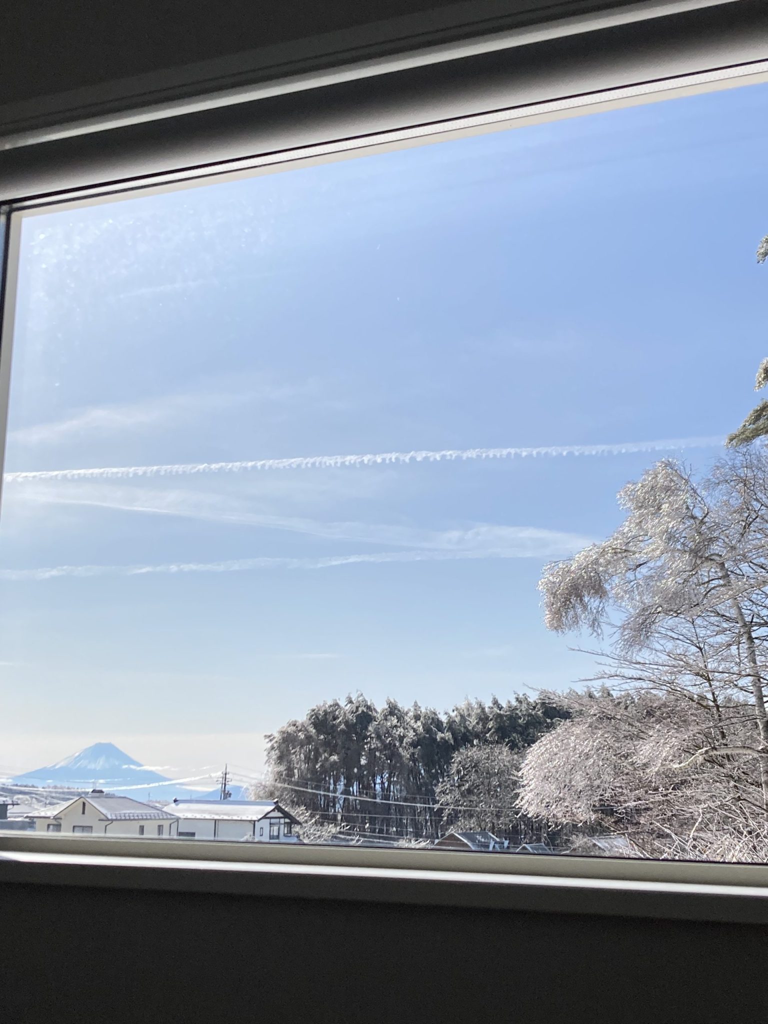 輝く世界 | ブログ | 【公式】紡ぐ結ぶ TSUMUGU MUSUBU